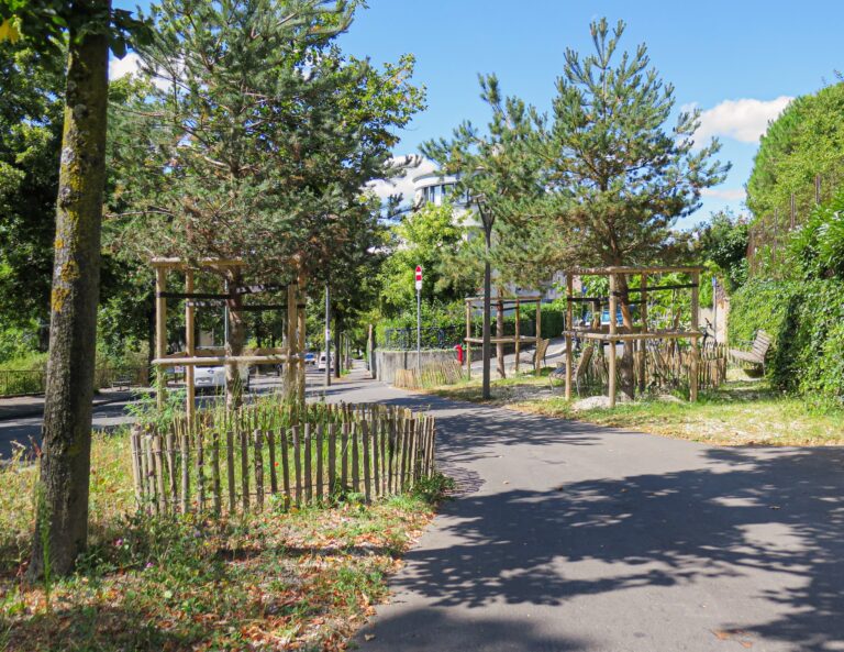 Baumrigole Av. de Montoie Lausanne - Infoplattform Schwammstadt