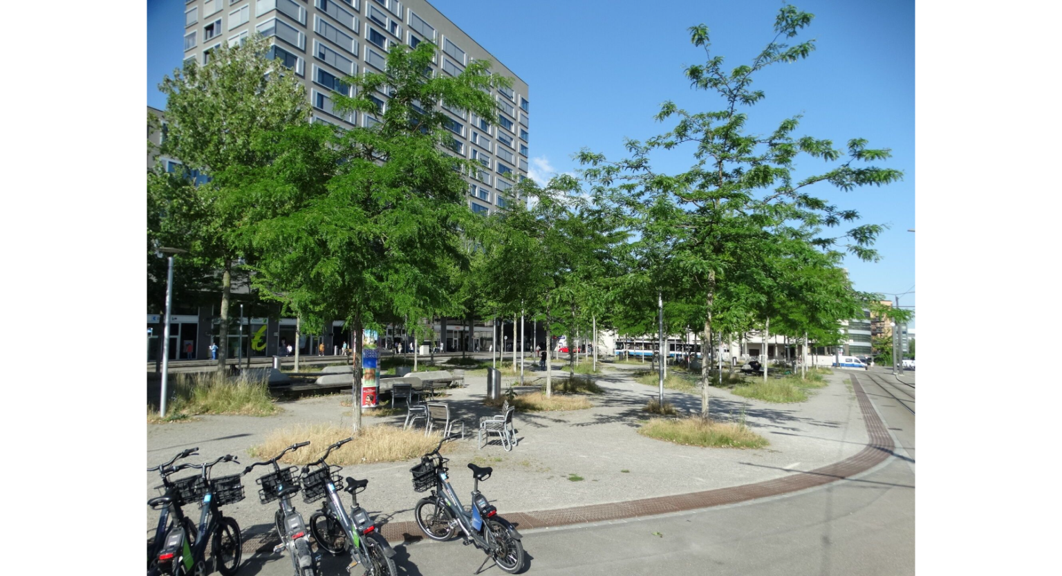 Vulkanplatz Zürich - Infoplattform Schwammstadt