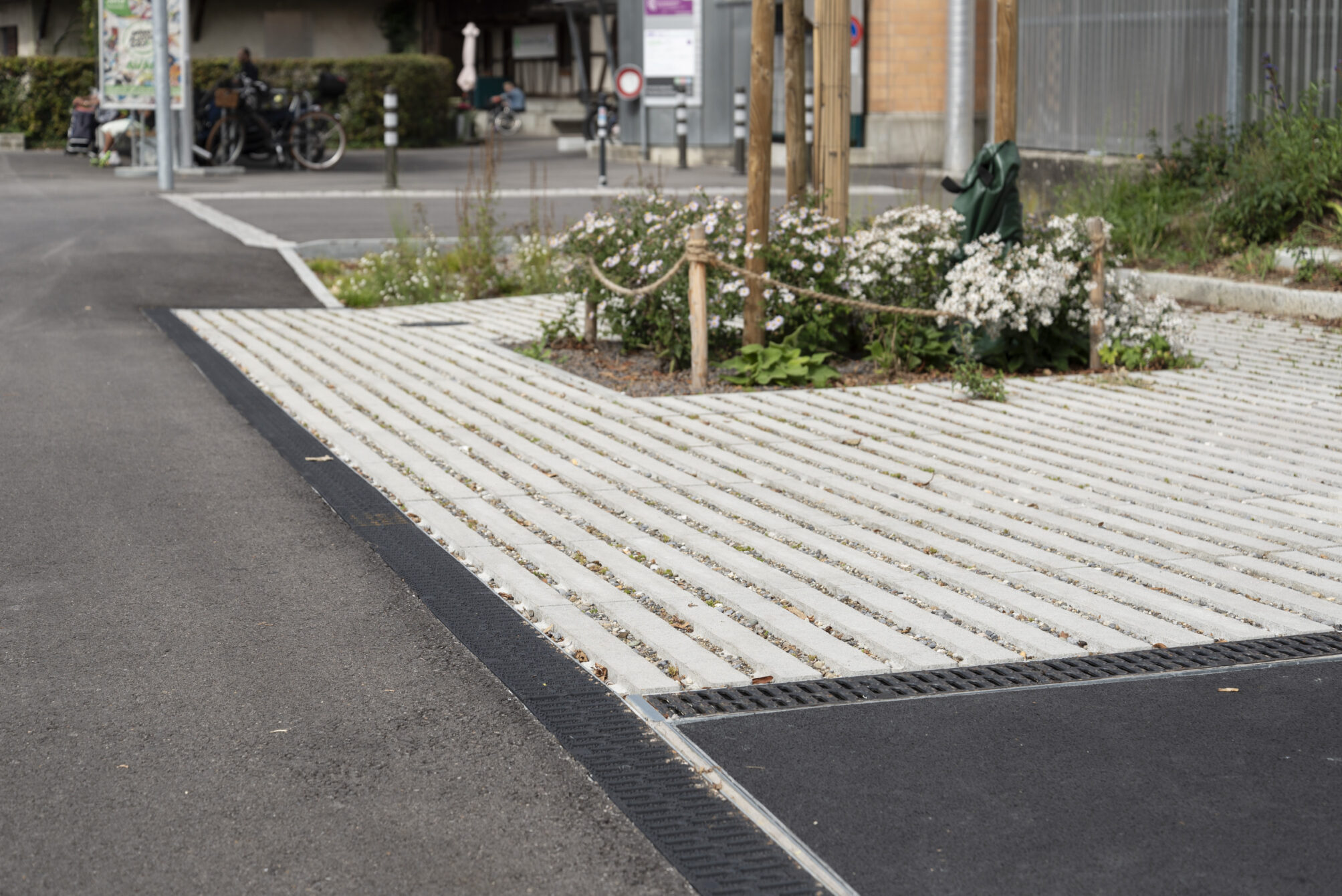 Baumrigolen Köniz - Infoplattform Schwammstadt